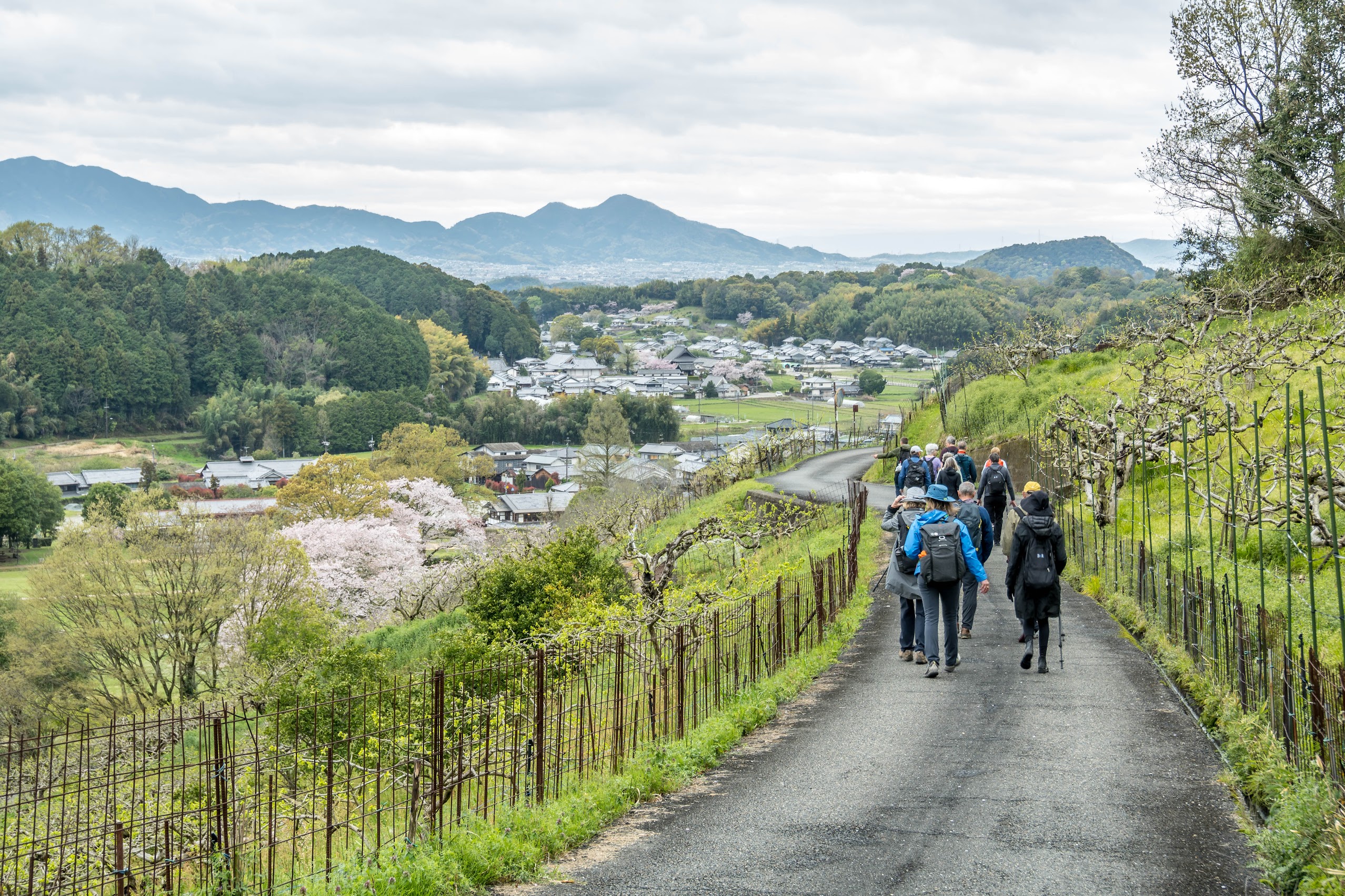 Japan Walking | Butterfield & Robinson