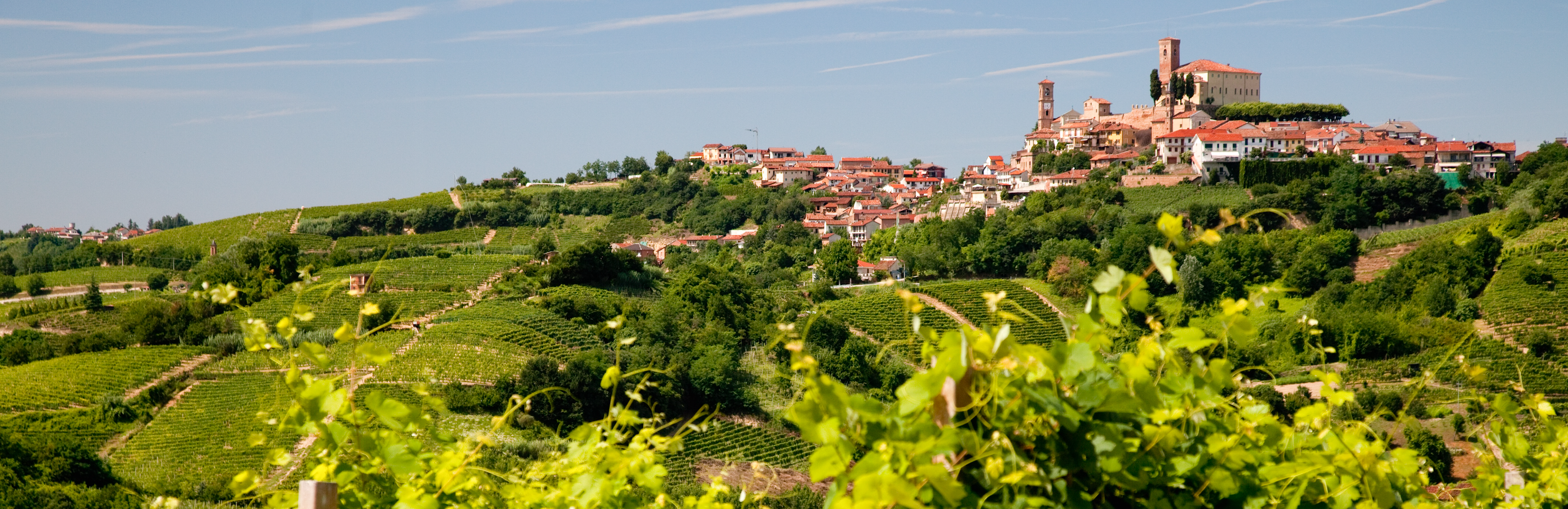 Piemonte Bike Tour: Barolo Vineyards, Truffle Hunts & Family Cellar Visits