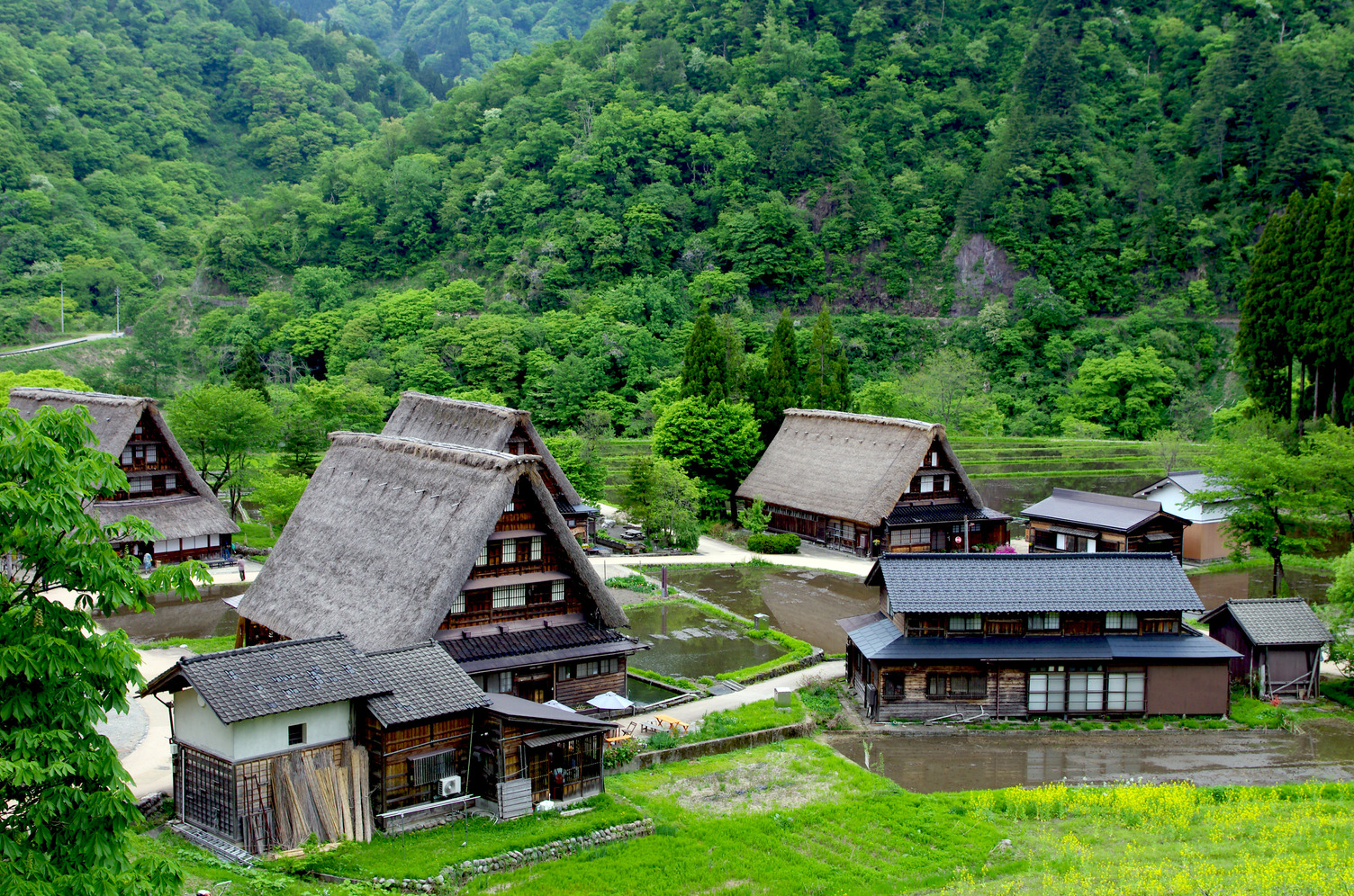 Explore Japan with B&R